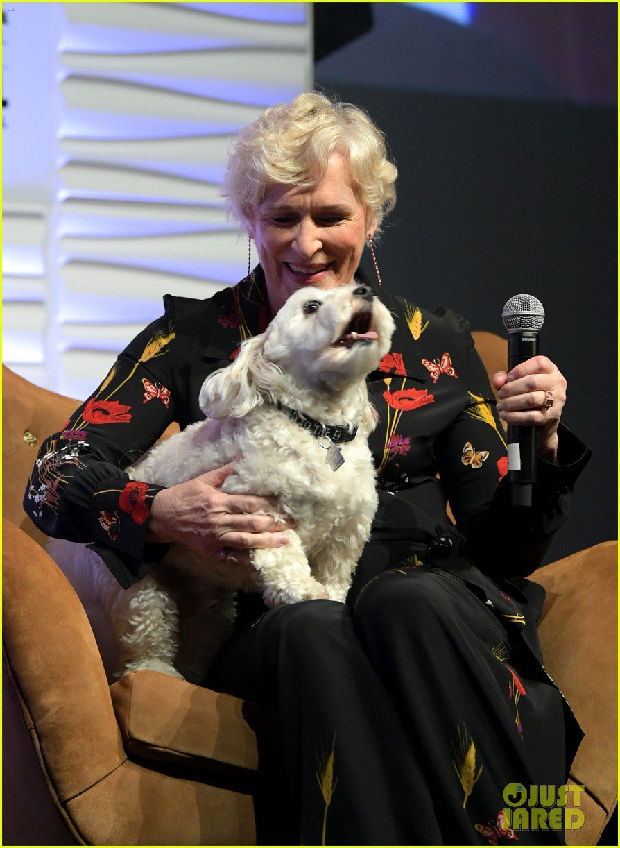 Glenn Close's Dog Pip Joins Her to Accept an Award!: Photo 4223167 ...