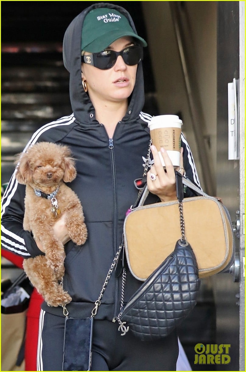 Katy Perry Shows Off Her New Engagement Ring While Running Errands in ...