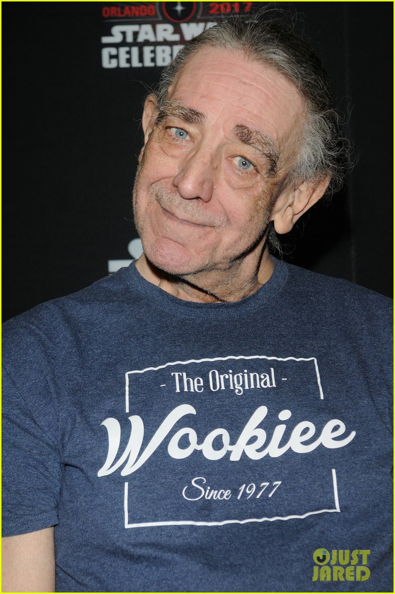 Chewbacca Actor Peter Mayhew's Cause of Death Revealed: Photo 4282170 ...