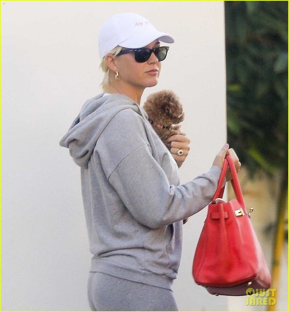 Katy Perry's Dog Nugget is the Best Accessory!: Photo 4331729 | Katy ...