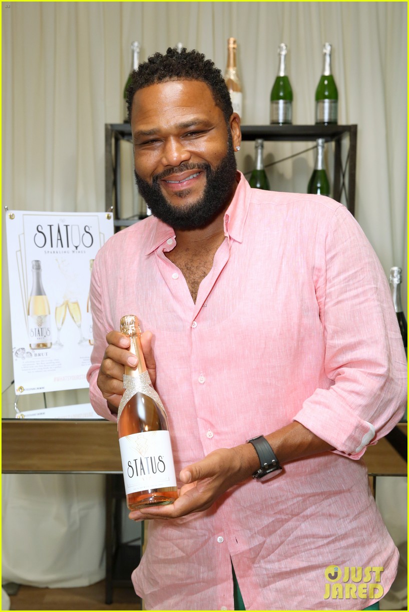 Anthony Anderson & Don Cheadle Are Joined By Their Loves at Emmy Awards ...