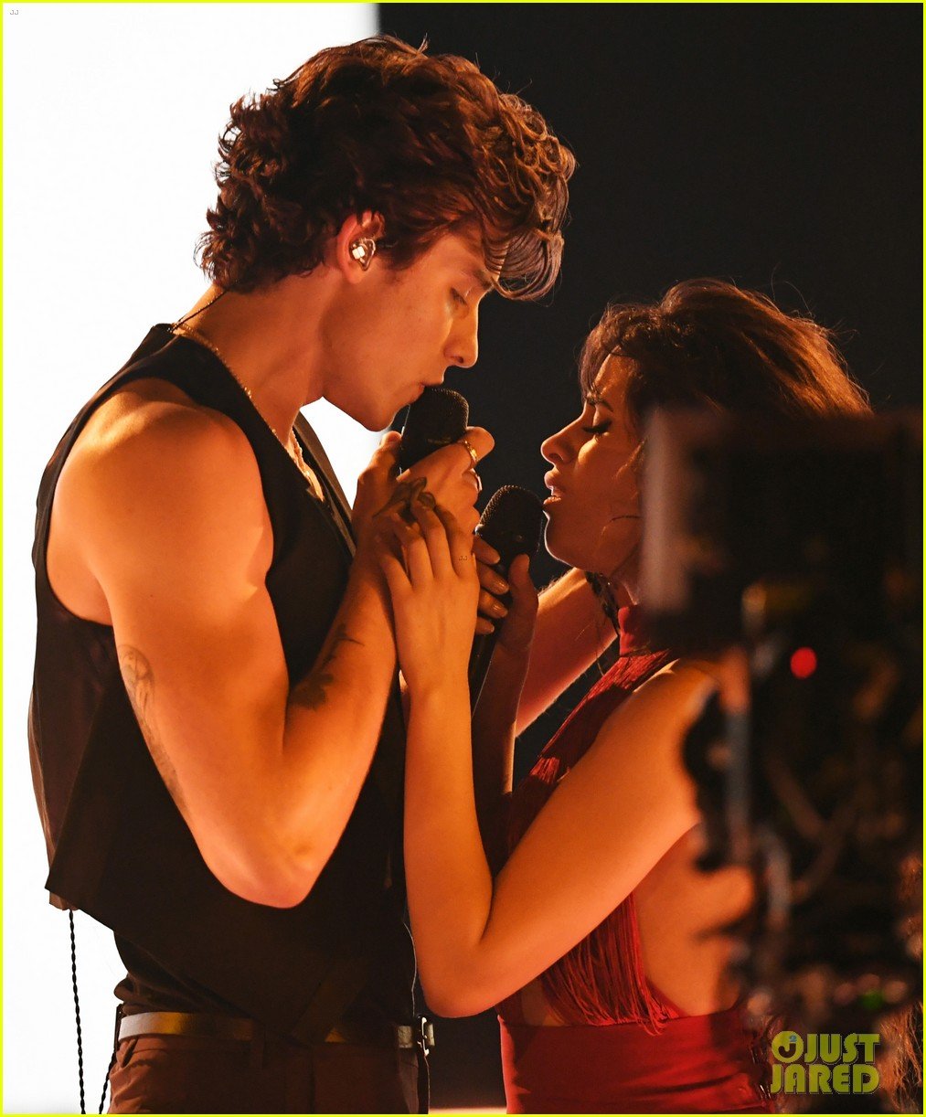 Shawn Mendes & Camila Cabello Heat Up AMAs 2019 with 'Senorita' Performance (Video): Photo ...