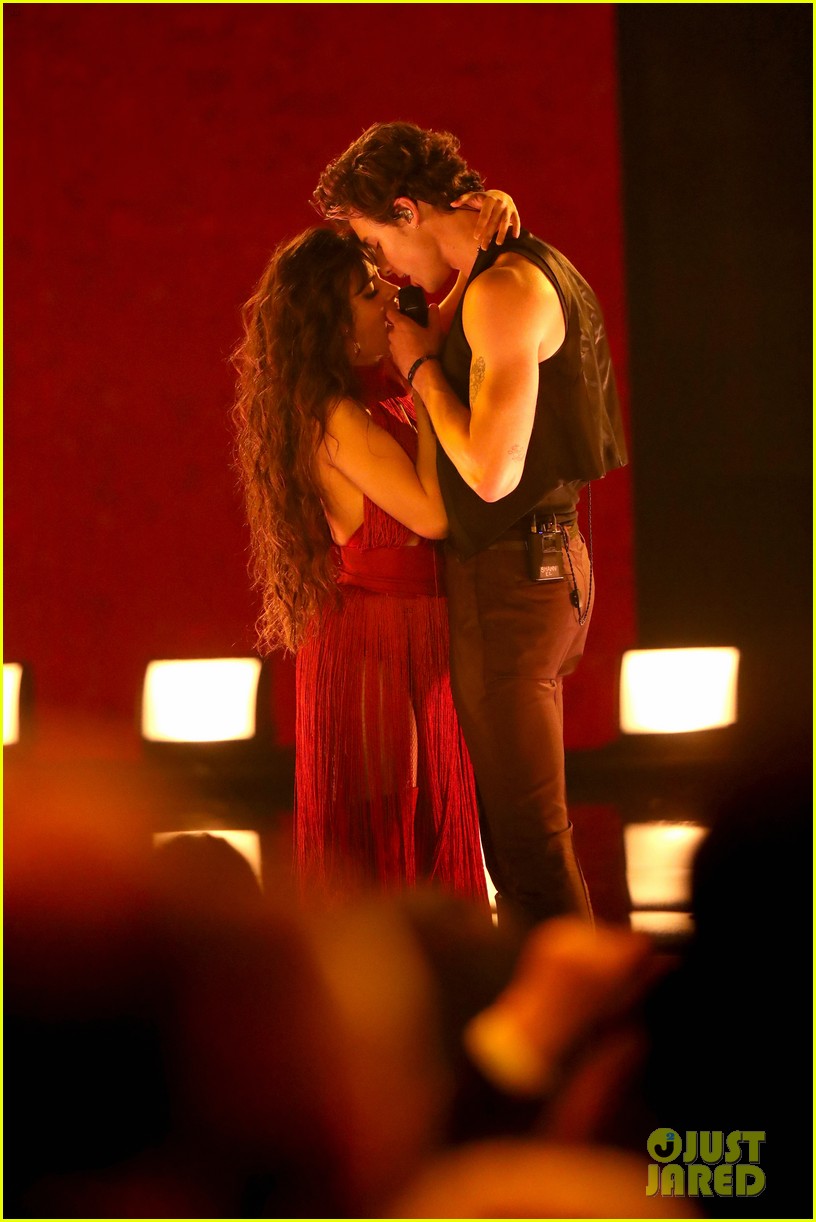 Shawn Mendes & Camila Cabello Heat Up AMAs 2019 with 'Senorita ...