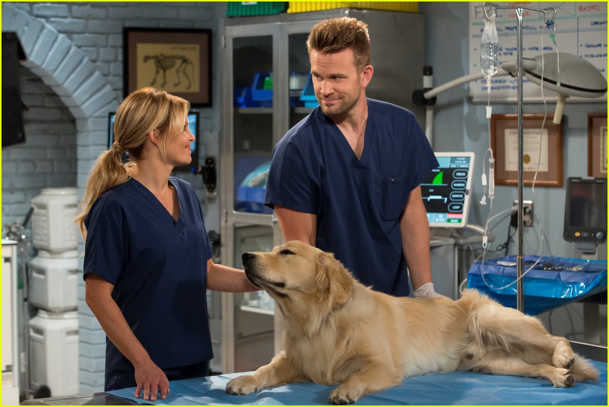 'Fuller House' Dog Cosmo Has Died Due to Complications from Surgery ...