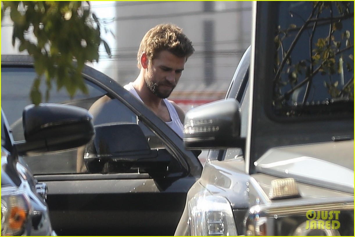 Liam Hemsworth's Muscles Look So Pumped Up After His Friday Morning ...