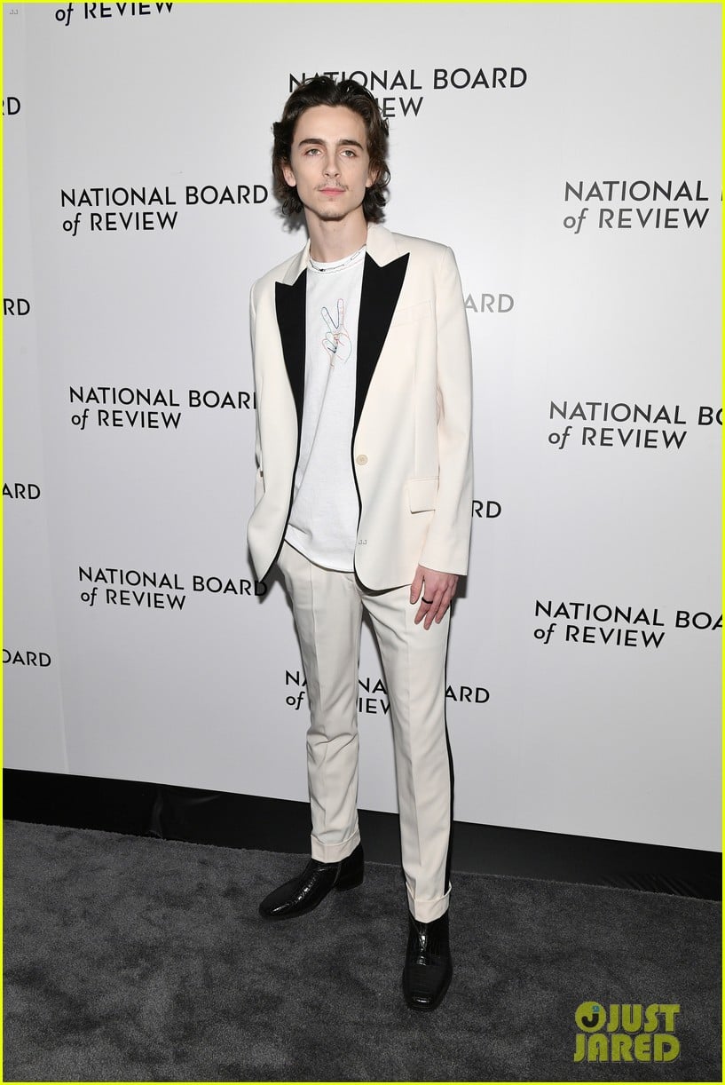 Timothee Chalamet Sports a Goatee For National Board of Review Gala ...