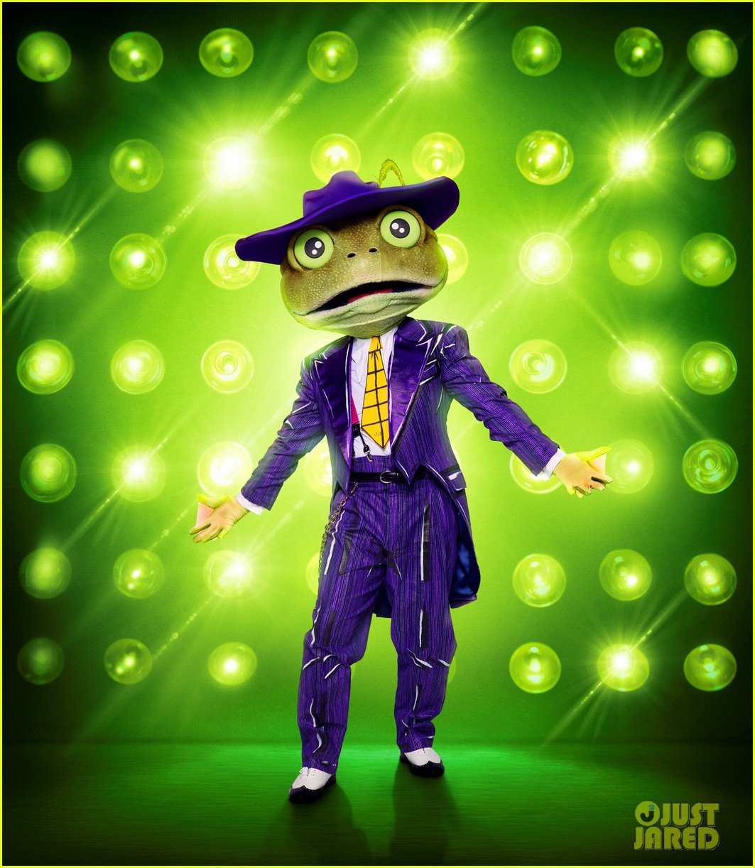 'Masked Singer' 2020 - Meet Contestants, Read Rules & More! : Photo ...