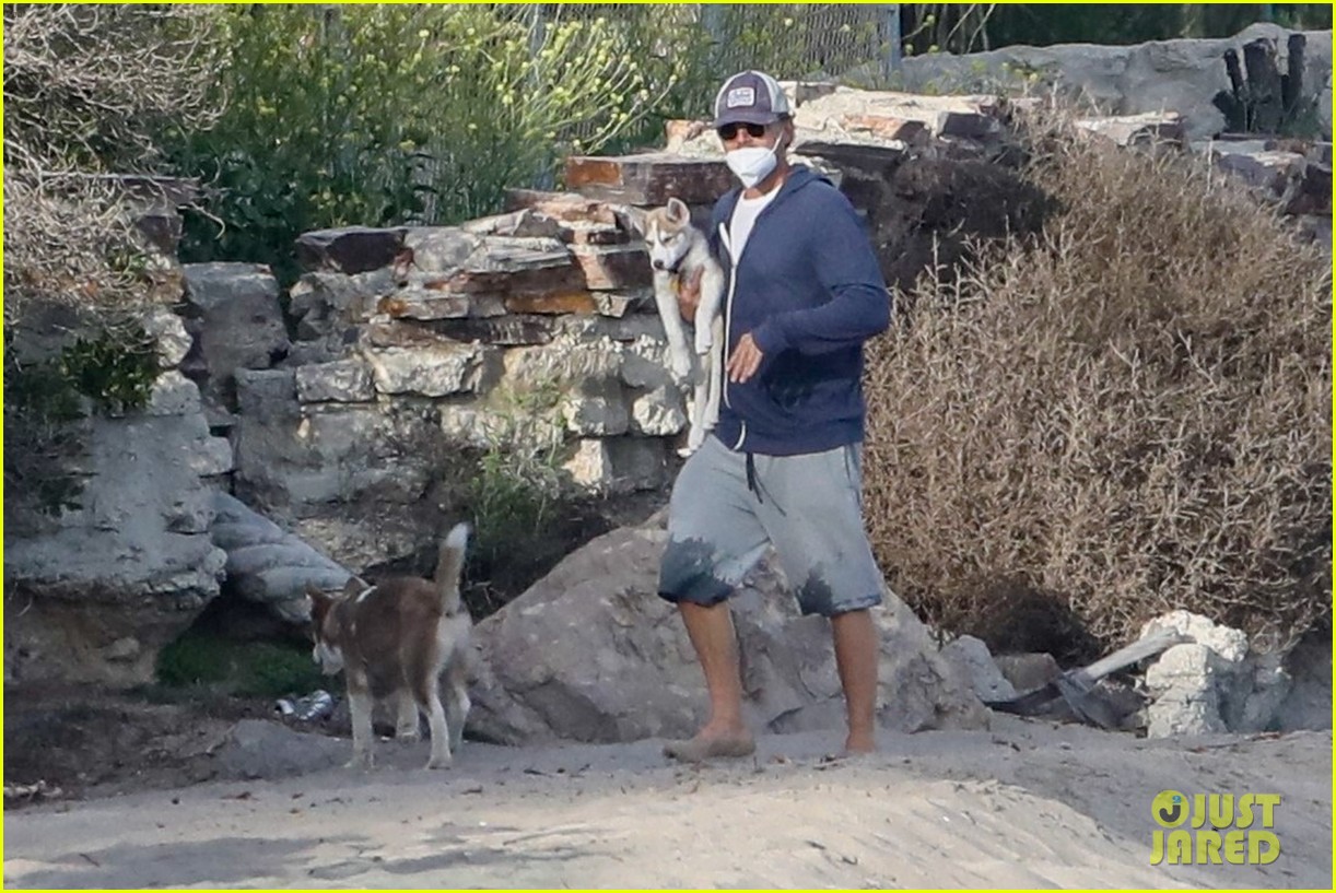 Leonardo DiCaprio Takes Camila Morrone's Foster Dogs Jack & Jill For ...