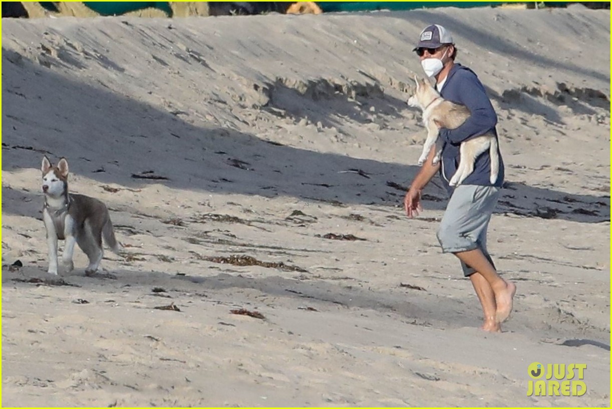 Leonardo DiCaprio Takes Camila Morrone's Foster Dogs Jack & Jill For ...