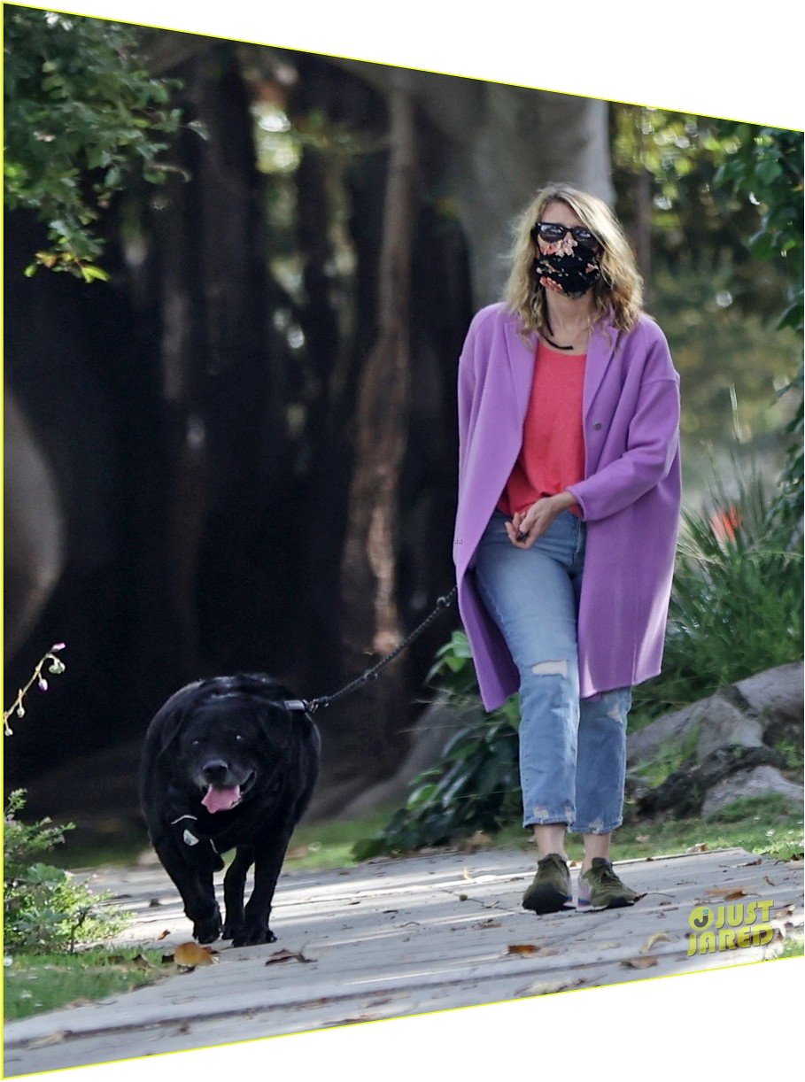 Laura Dern Shares Five Organizations You Can Donate To For Black Lives Matter: Photo 4461757 ...