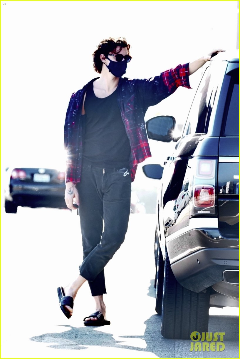 Shawn Mendes Stays Safe in a Mask While Out with Friends: Photo 4472426 ...