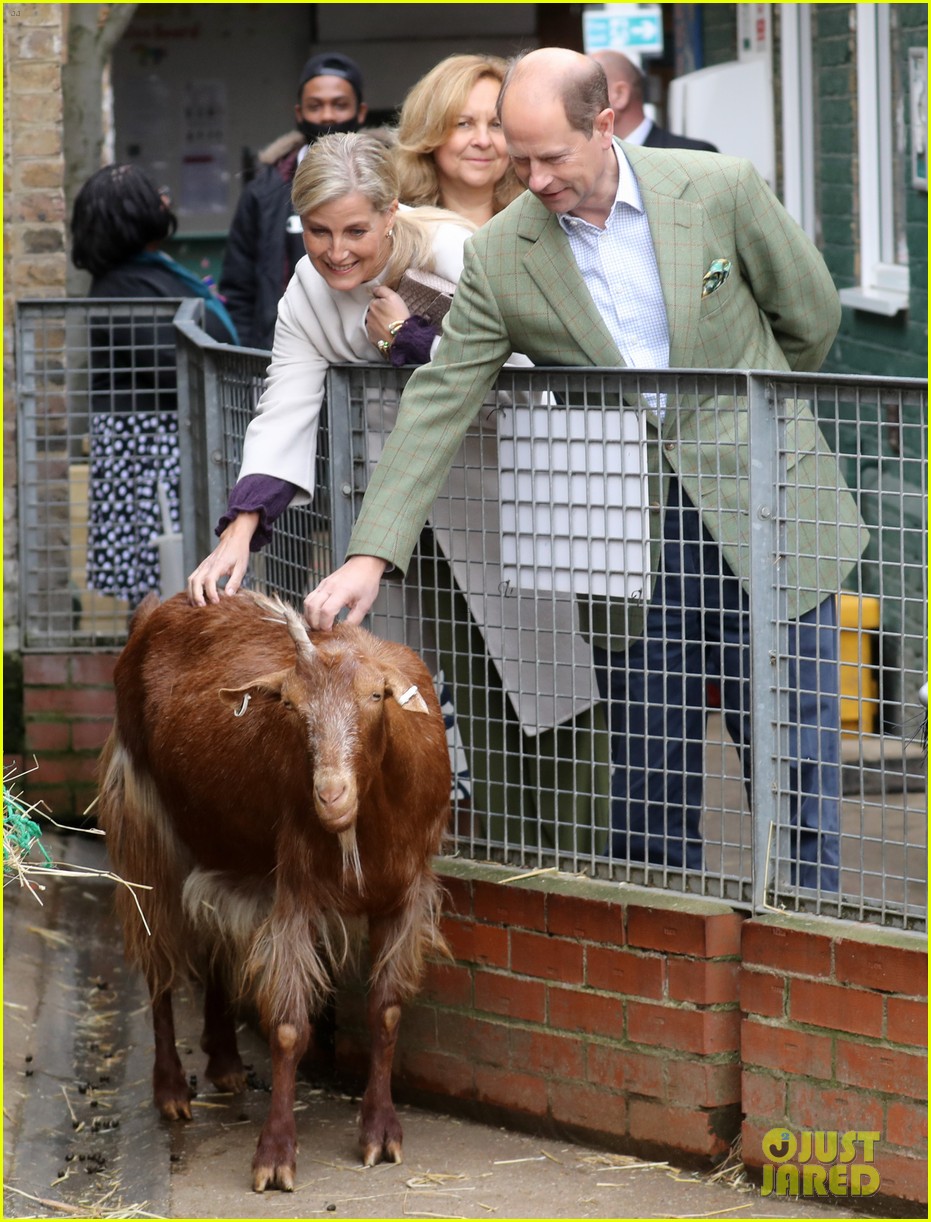Prince Edward & Sophie, Countess of Wessex Make Rare Appearance ...