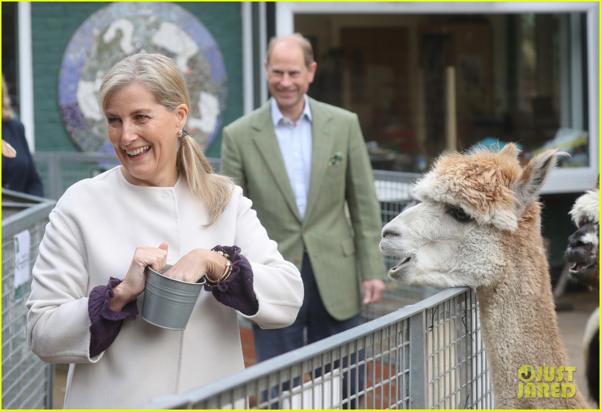 Prince Edward & Sophie, Countess of Wessex Make Rare Appearance ...