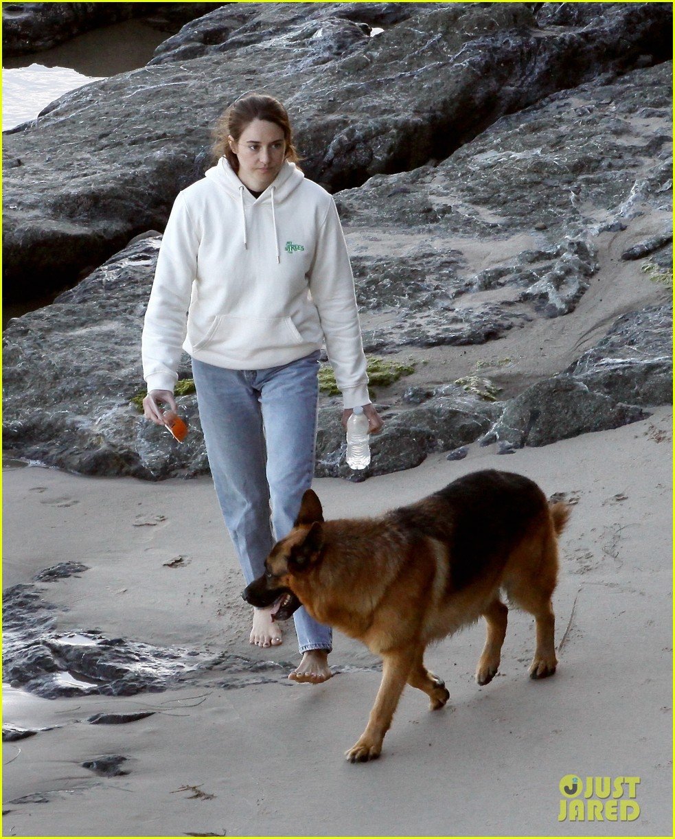 Shailene Woodley & Aaron Rodgers Cuddle Their Dog at the Beach in Cute ...