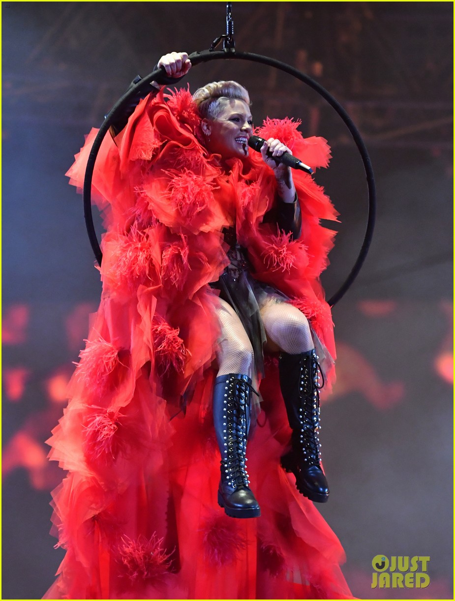 How Much Is Pink Worth? Net Worth Revealed!: Photo 4553286 | Pink ...