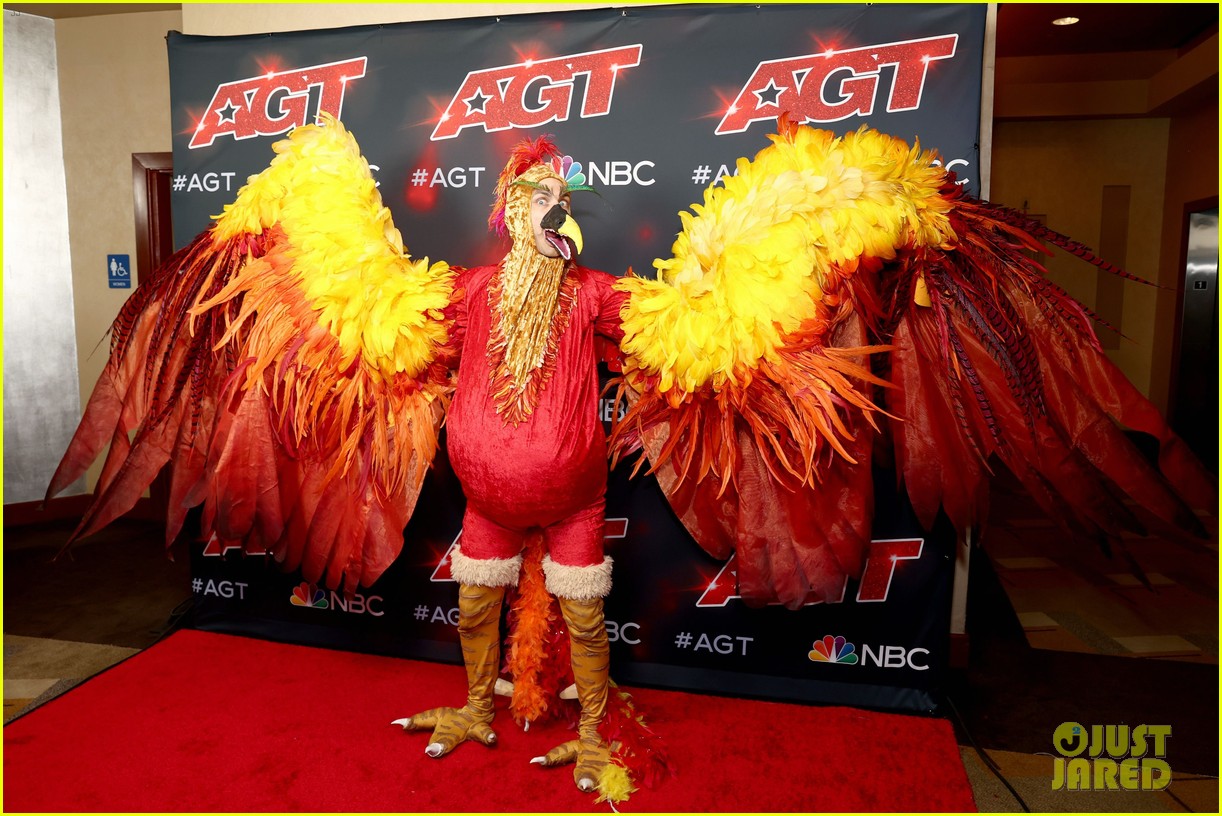 Sofia Vergara & Heidi Klum Rule The Red Carpet At 'AGT's First Live Show: Photo 4602793 | Heidi ...