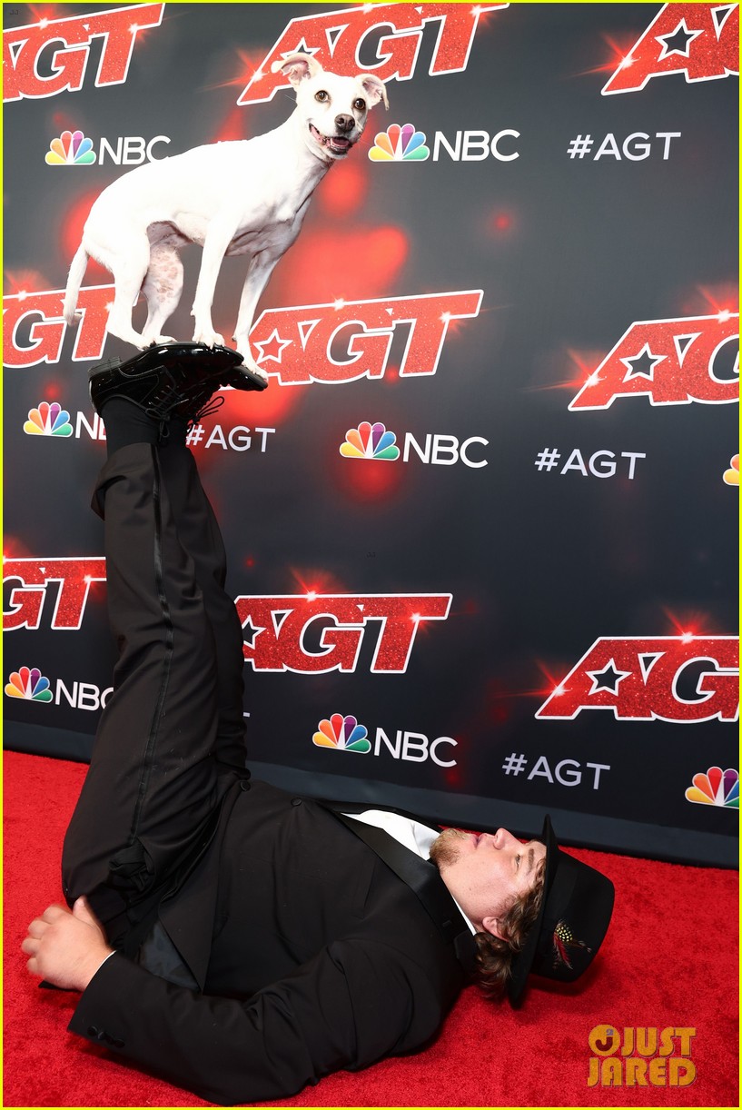 Sofia Vergara & Heidi Klum Rule The Red Carpet At 'AGT's First Live Show: Photo 4602815 | Heidi ...