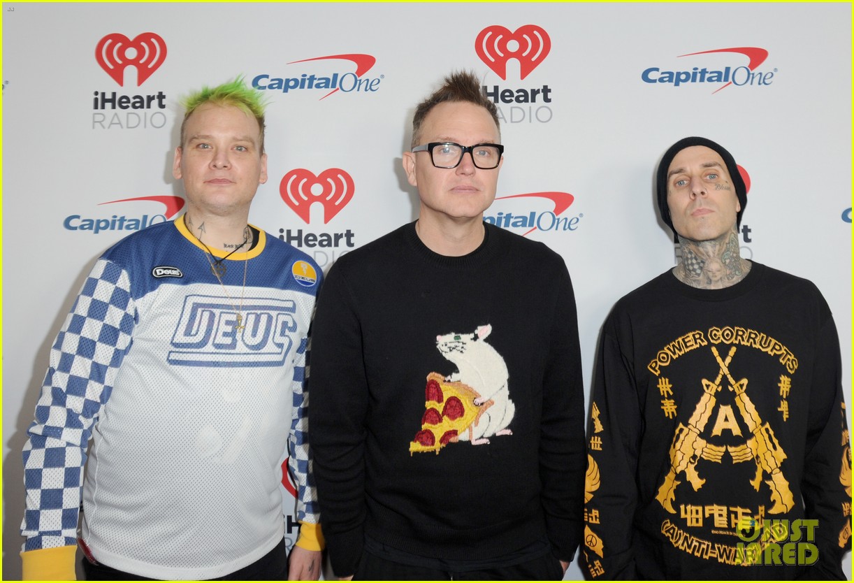 Blink-182's Mark Hoppus Announces He Is Cancer Free!: Photo 4634936 ...