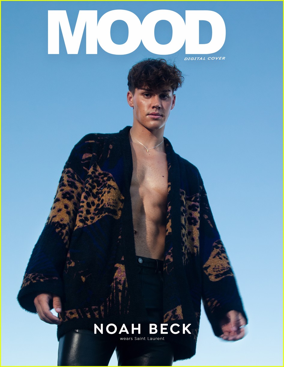 TikTok Star Noah Beck Shows Off His Physique for 'Mood,' Talks Dating ...