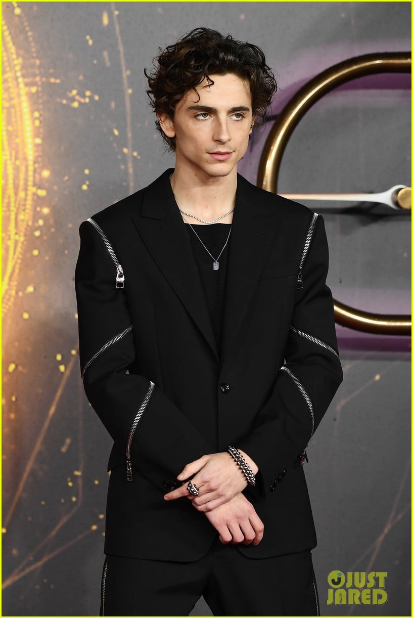 Timothee Chalamet Once Had A YouTube Channel Where He Modified Game ...