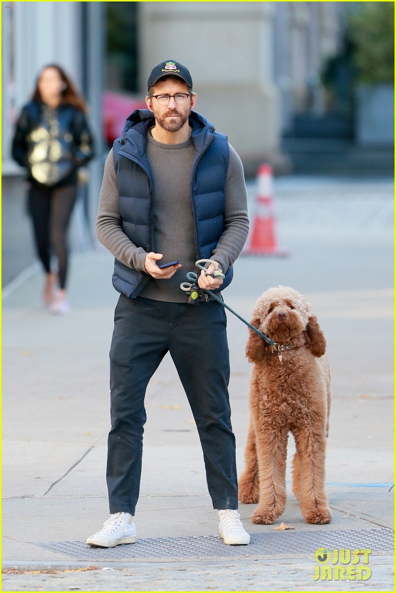 Ryan Reynolds Shows Off His Cool Fall Fashion While Taking His Dog for ...