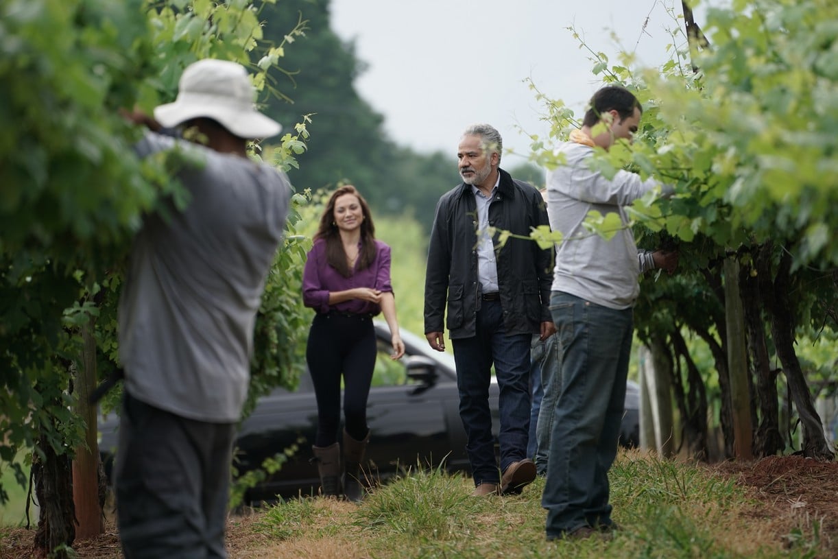 'Promised Land' Premieres on ABC Tonight - Meet The Full Cast Now ...