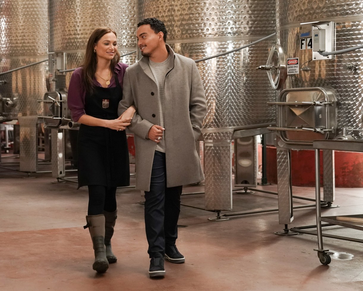 'Promised Land' Premieres on ABC Tonight - Meet The Full Cast Now ...