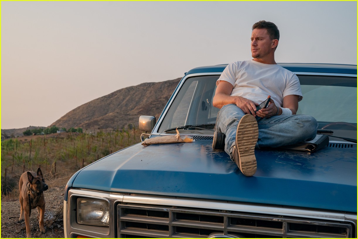 Is There a 'Dog' (2022) End Credits Scene? Details Revealed!: Photo ...