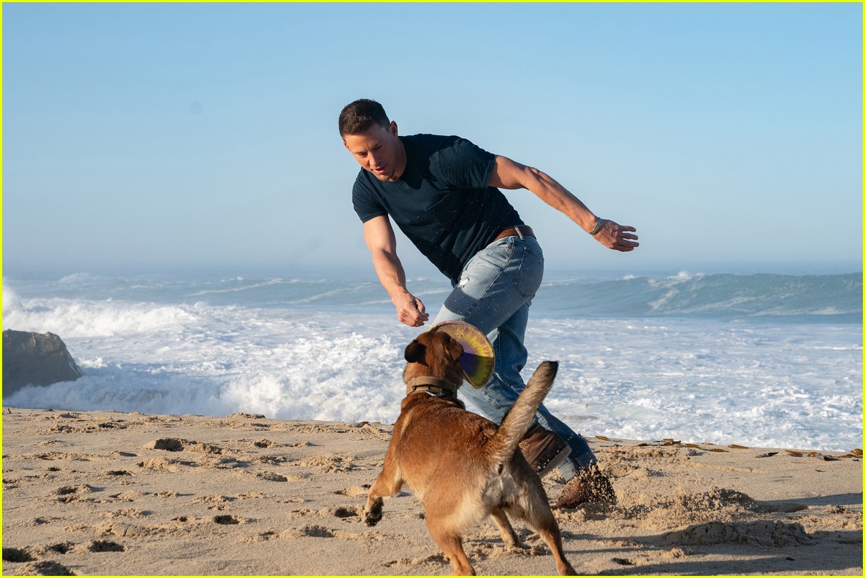 Is There a 'Dog' (2022) End Credits Scene? Details Revealed!: Photo ...