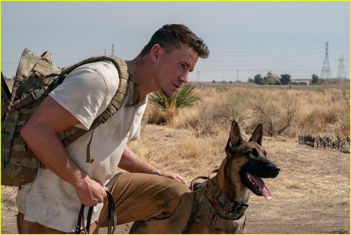 Is There a 'Dog' (2022) End Credits Scene? Details Revealed!: Photo ...