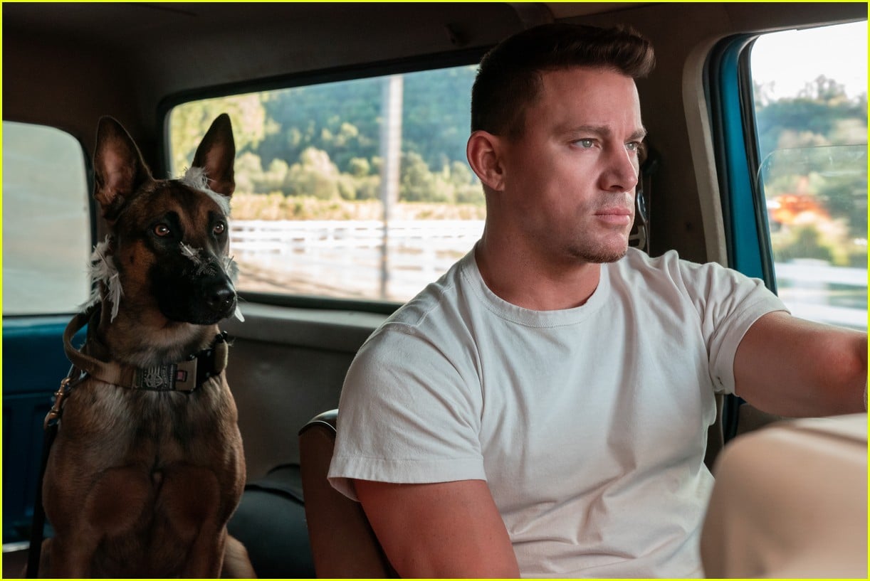 Is There a 'Dog' (2022) End Credits Scene? Details Revealed!: Photo ...