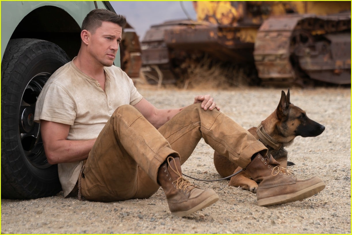 Is There a 'Dog' (2022) End Credits Scene? Details Revealed!: Photo ...