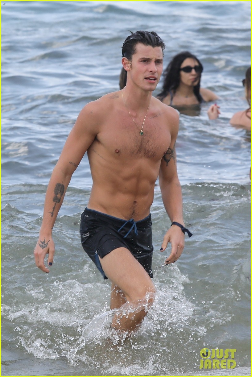 Shawn Mendes Takes a Dip During a Beach Day in Miami: Photo 4755310 ...