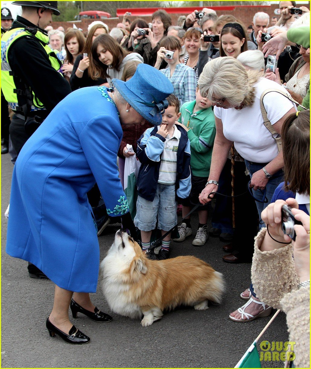 Queen Elizabeth's Two Corgis Will Live With Prince Andrew & Duchess ...