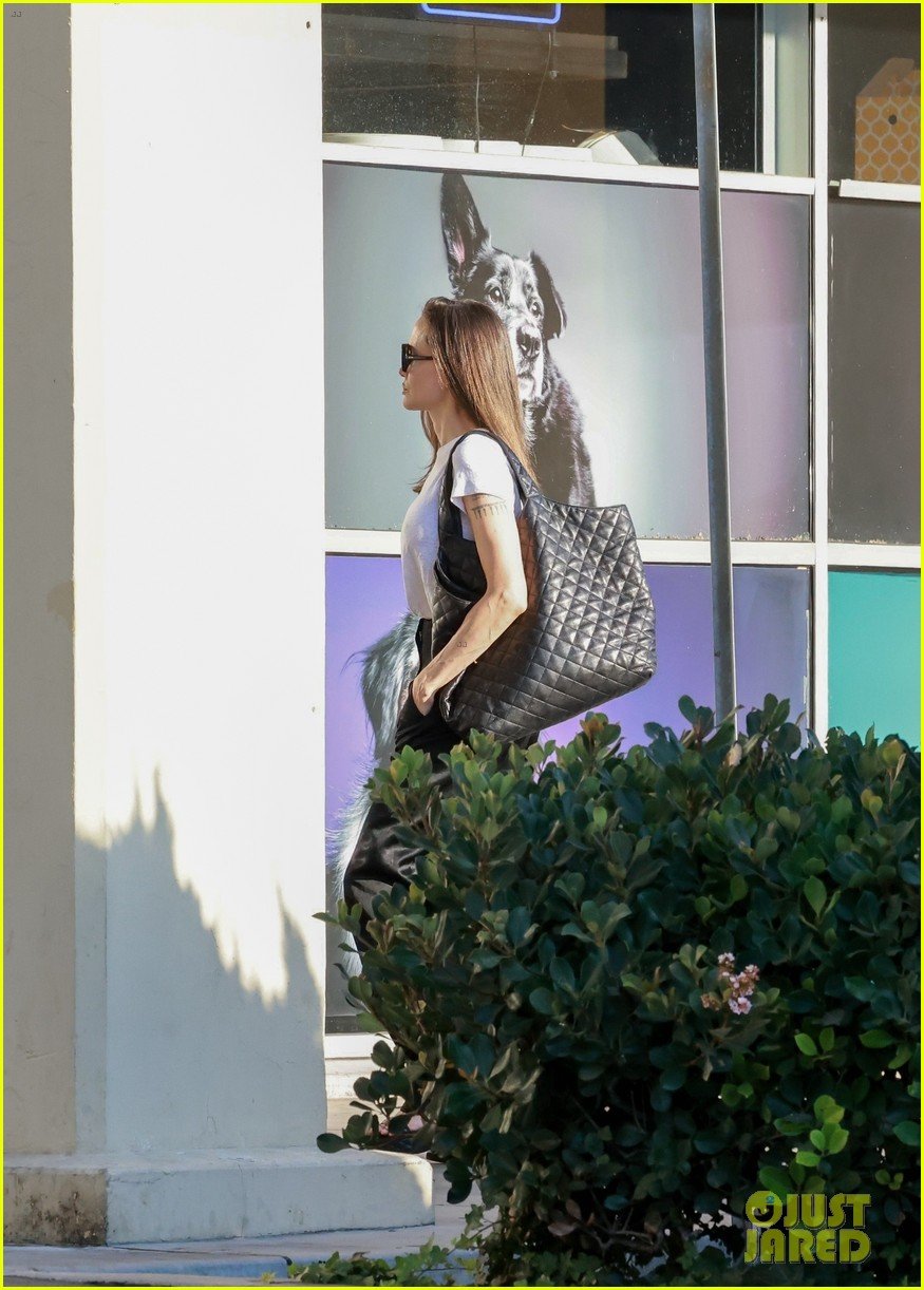 Angelina Jolie Goes Shopping for Pets Supplies with Son Pax, 18: Photo ...