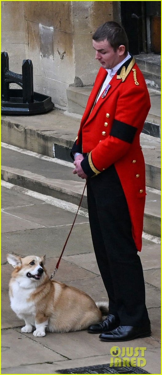 Queen Elizabeth's Beloved Pet Corgis & Pony Were Involved In Her ...