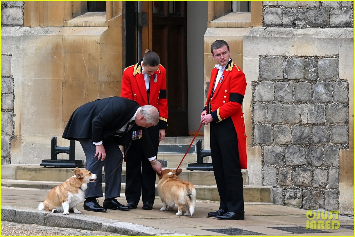 Queen Elizabeth's Beloved Pet Corgis & Pony Were Involved In Her ...