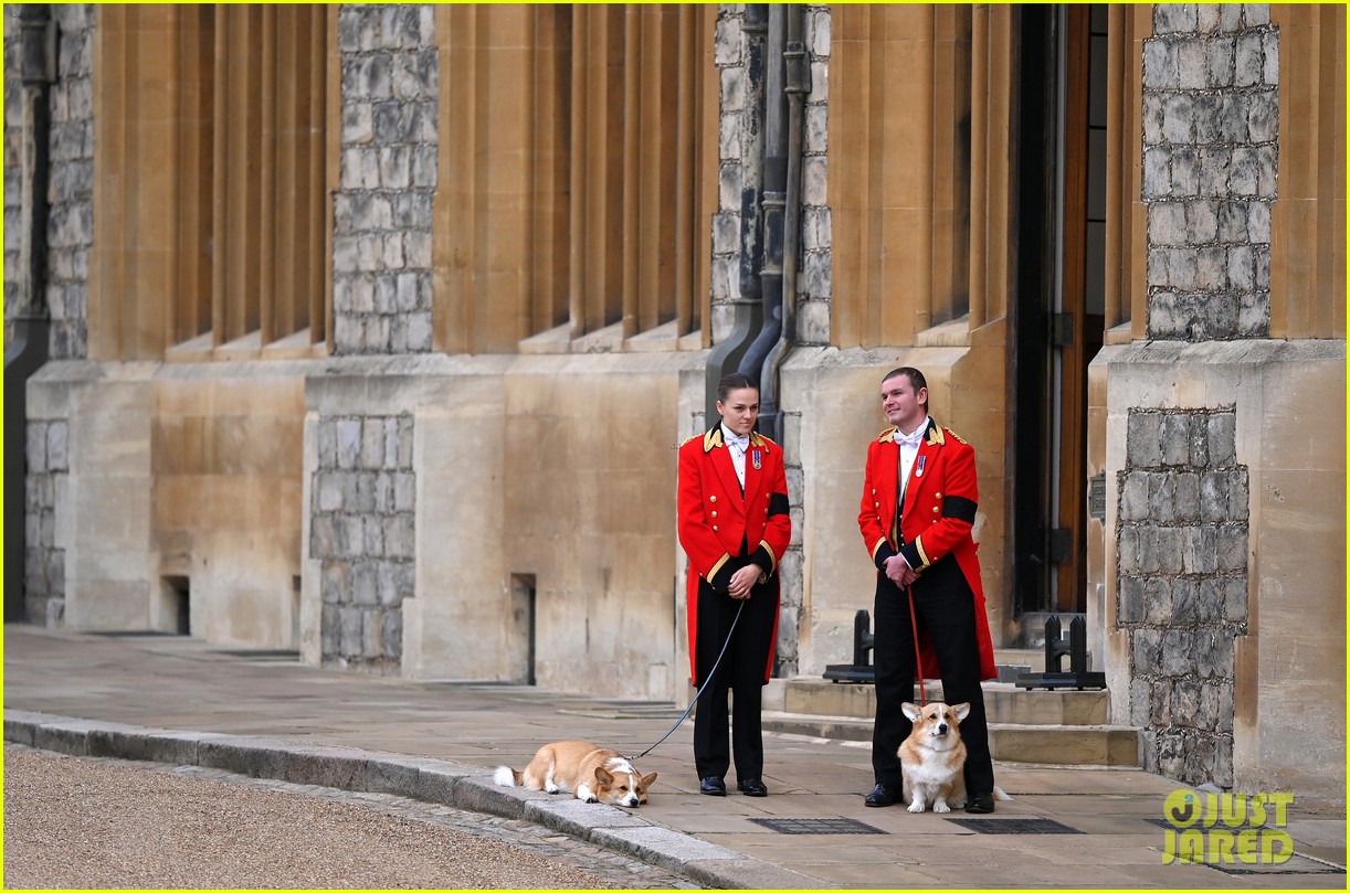 Queen Elizabeth's Beloved Pet Corgis & Pony Were Involved In Her ...