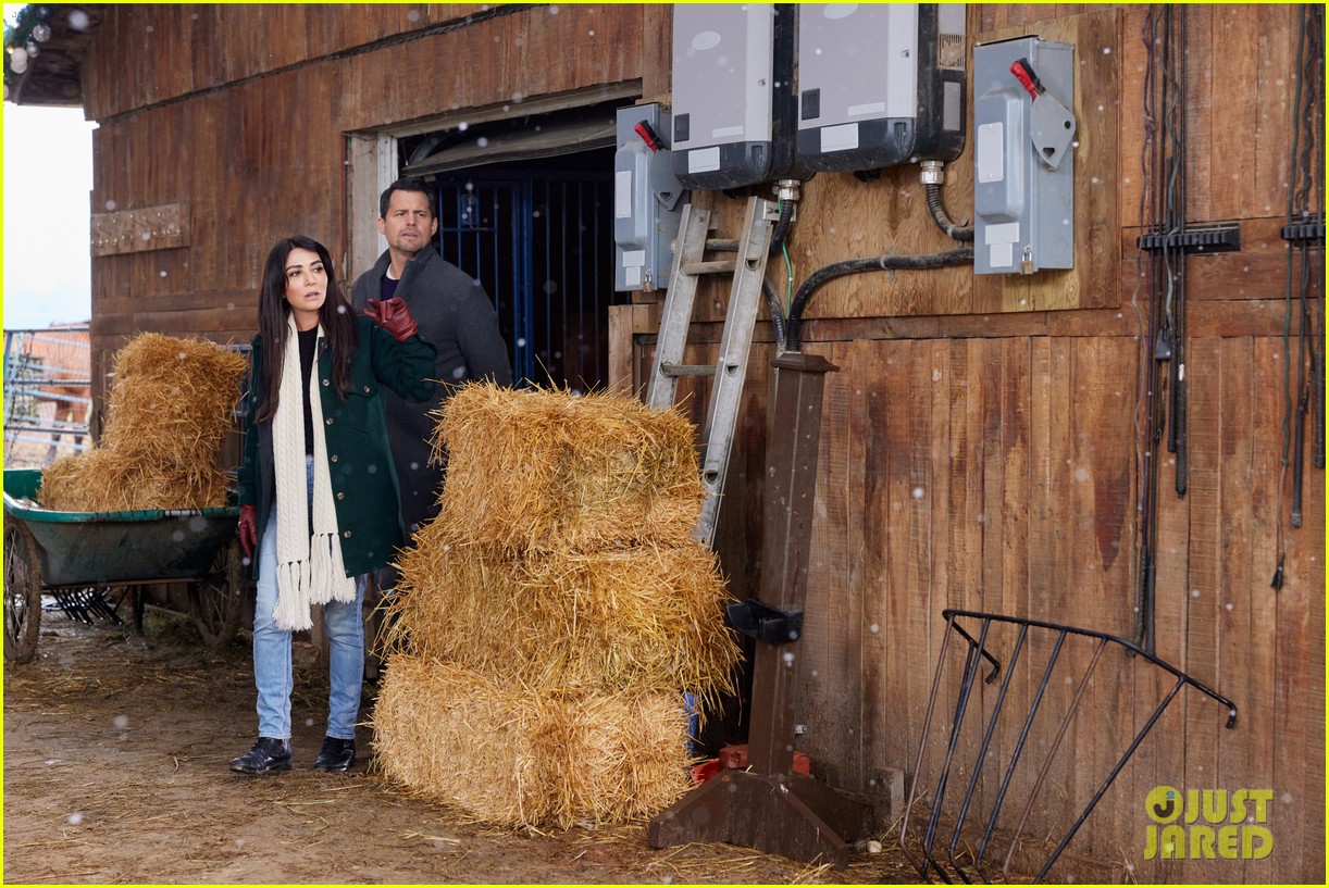 Kristoffer Polaha Talks The 'Challenge' of Hallmark's 'We Wish You A ...