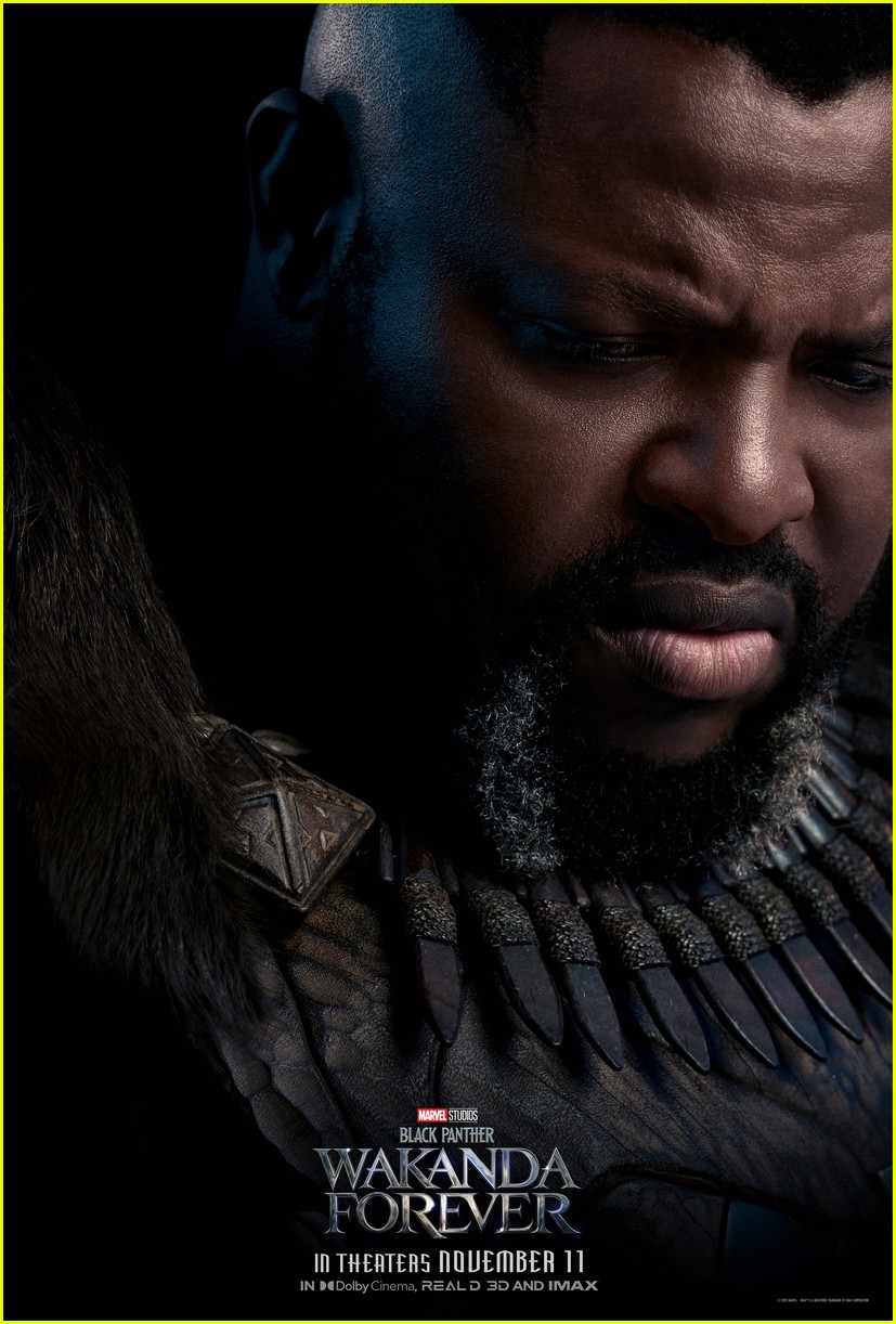 'Black Panther: Wakanda Forever' New Character Posters & Featurette Released - Watch Now!: Photo ...
