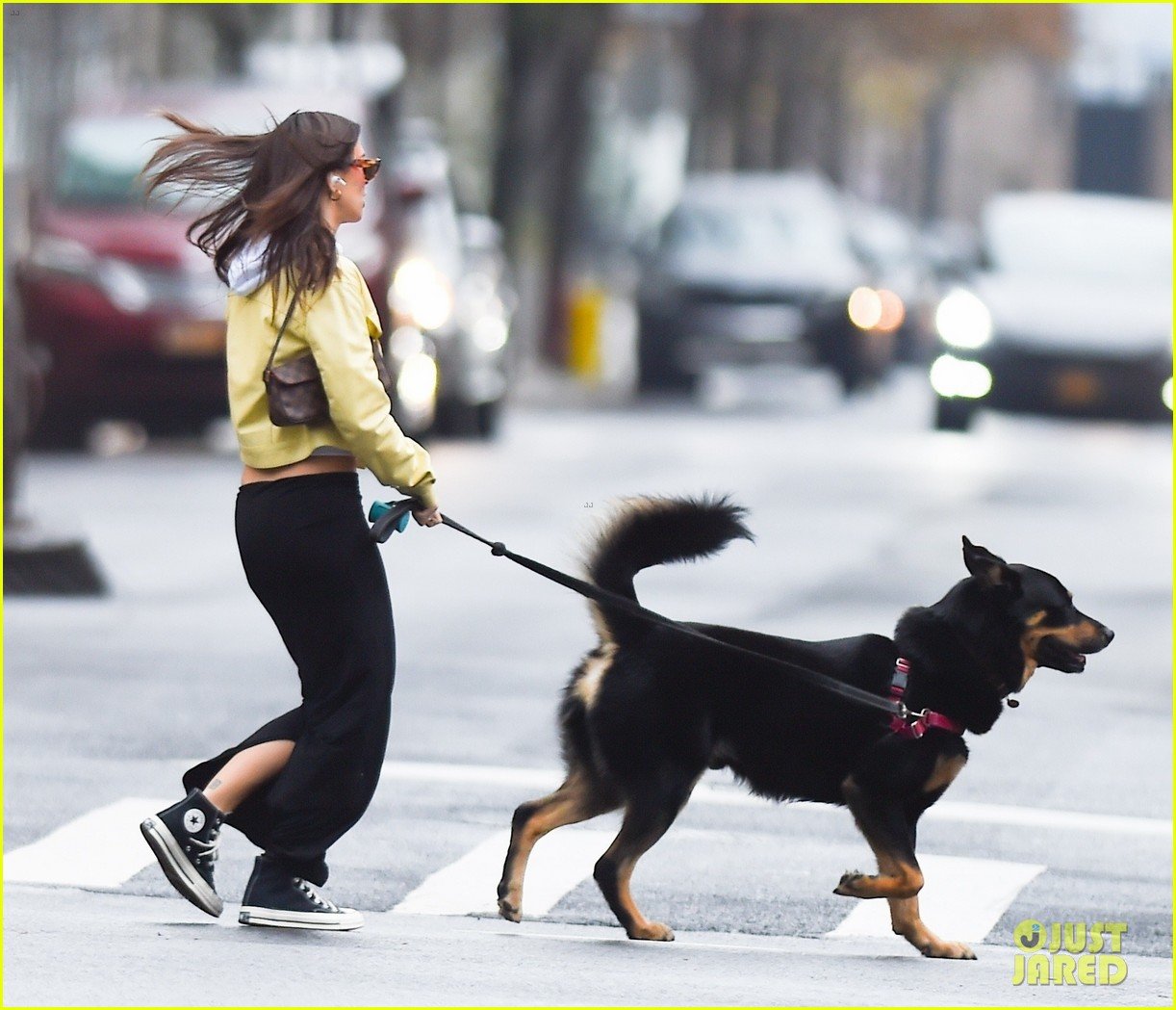 Emily Ratajkowski Goes for Afternoon Walk After Reportedly Spending ...