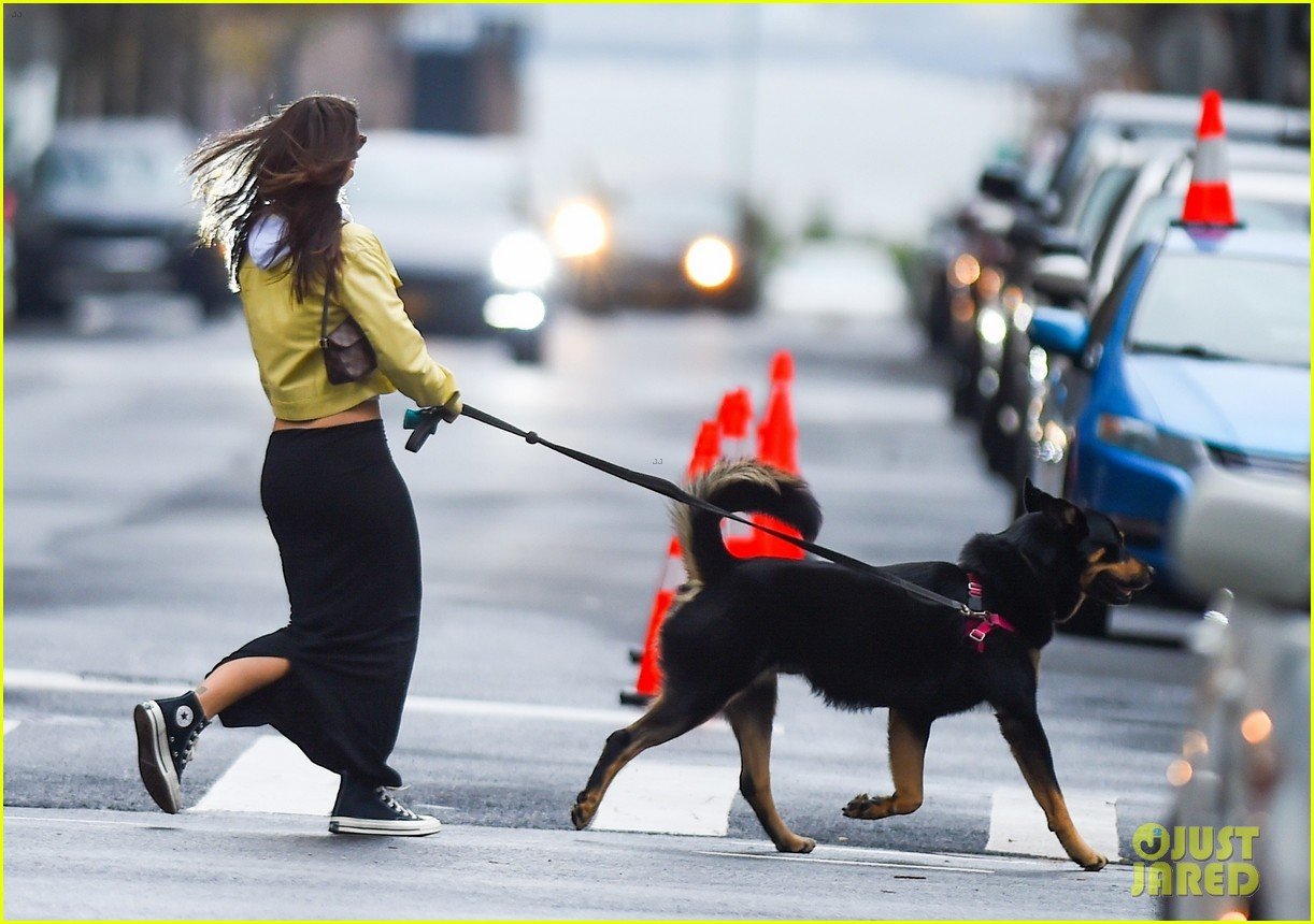 Emily Ratajkowski Goes for Afternoon Walk After Reportedly Spending ...