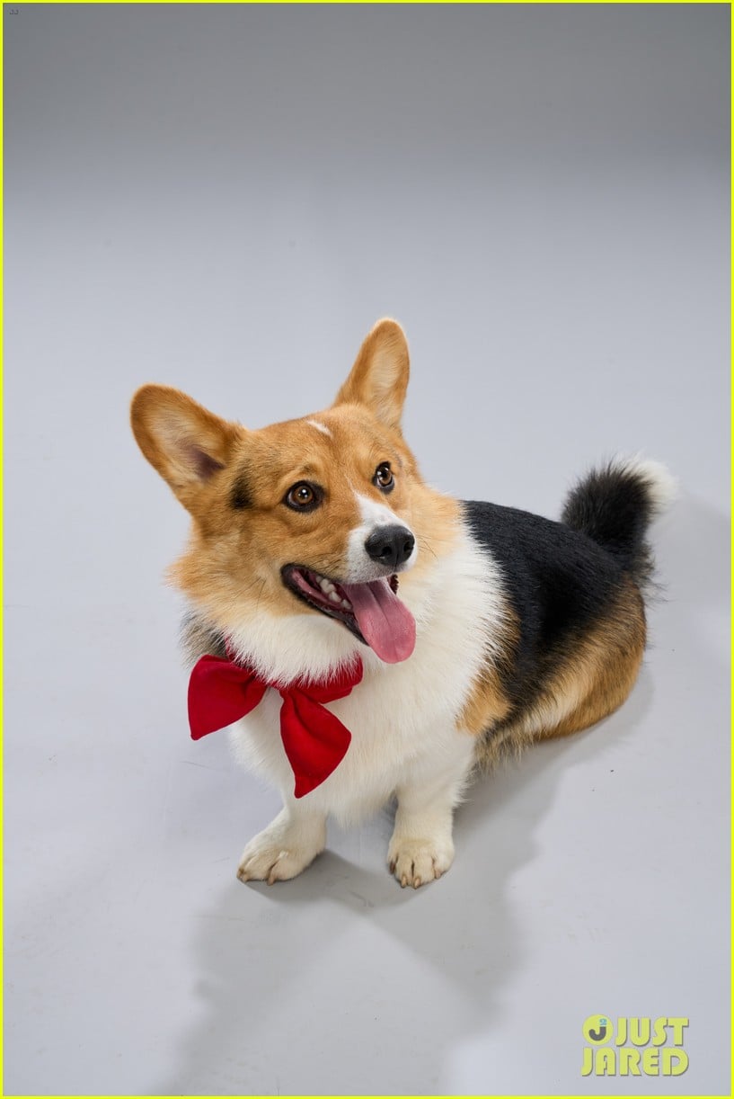 Hunter King Says She Cried Happy Tears While Working On Hallmark's 'A ...