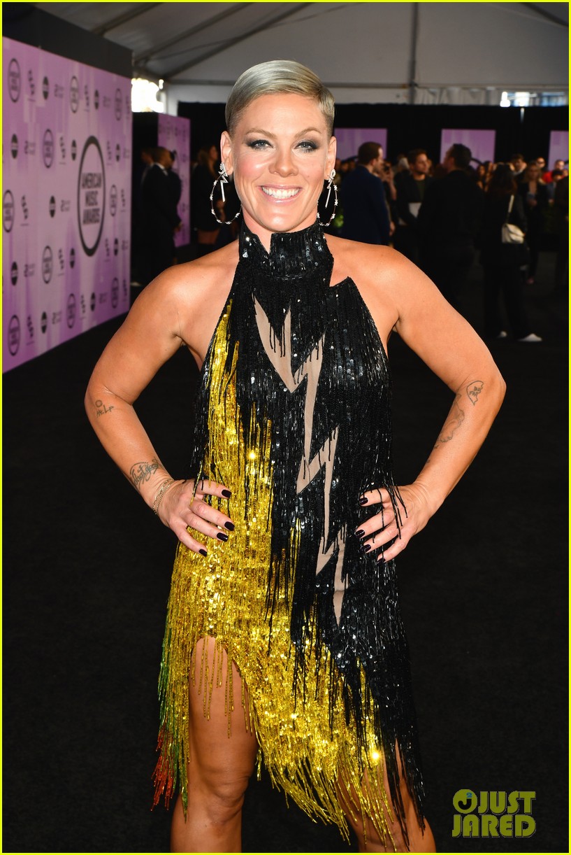 Pink Rules The Red Carpet with Husband Carey Hart & Their Two Kids at ...
