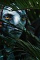 Why Are the Na’vi People Blue in ‘Avatar’? James Cameron Explains the ...