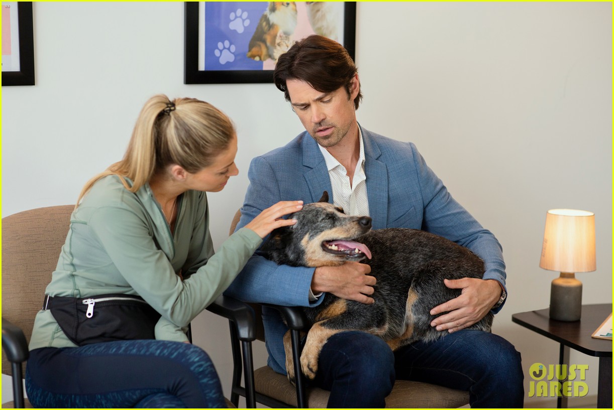 Hallmark Channel's First Movie of 2023, The Dog Lovers Guide To Dating ...