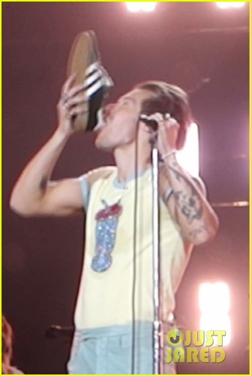 Harry Styles Does a 'Shoey,' Drinks Beer Out of Shoe in Australian ...