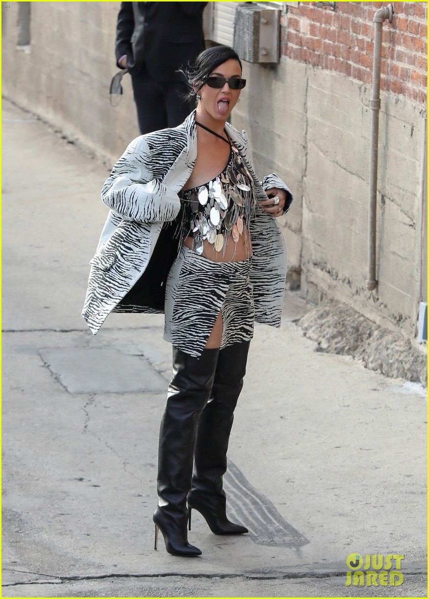 Katy Perry Strikes a Pose While Modeling Bold Look Ahead of 'American ...