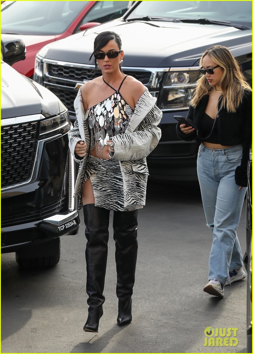 Katy Perry Strikes a Pose While Modeling Bold Look Ahead of 'American ...