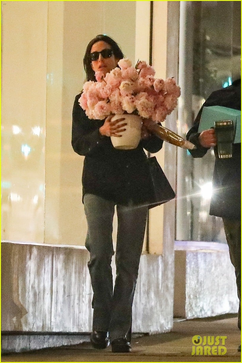 Brad Pitt Sent Girlfriend Ines de Ramon Flowers on Valentine's Day ...